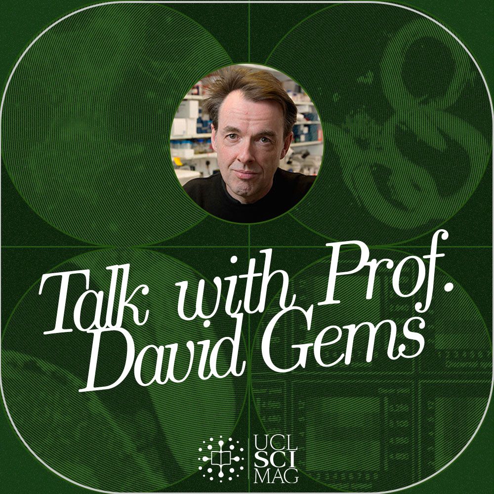 Come to our Academic Talk with Prof. David Gems!