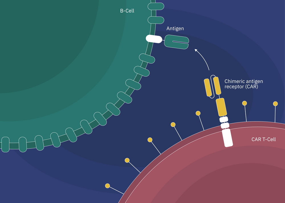 Cancer Targeting CAR T-Cells: Can They Treat Autoimmune Diseases?