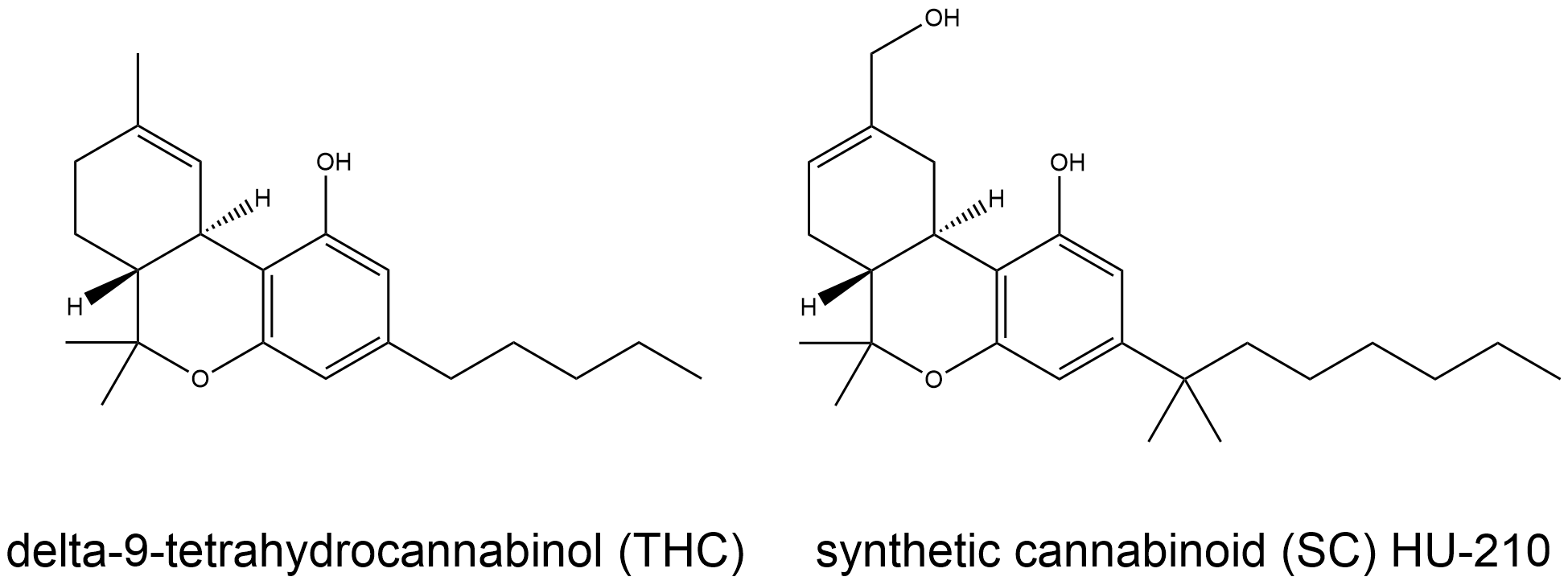 Tackling the Synthetic Cannabinoid Epidemic